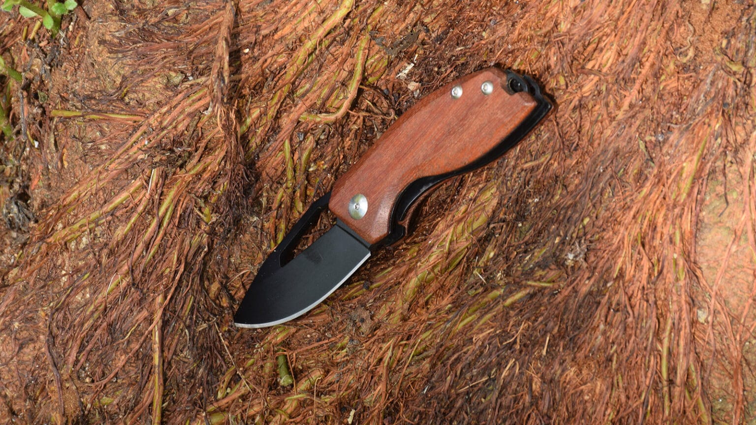 When Is Your Child Ready For Their First Pocket Knife? A Parent's ...