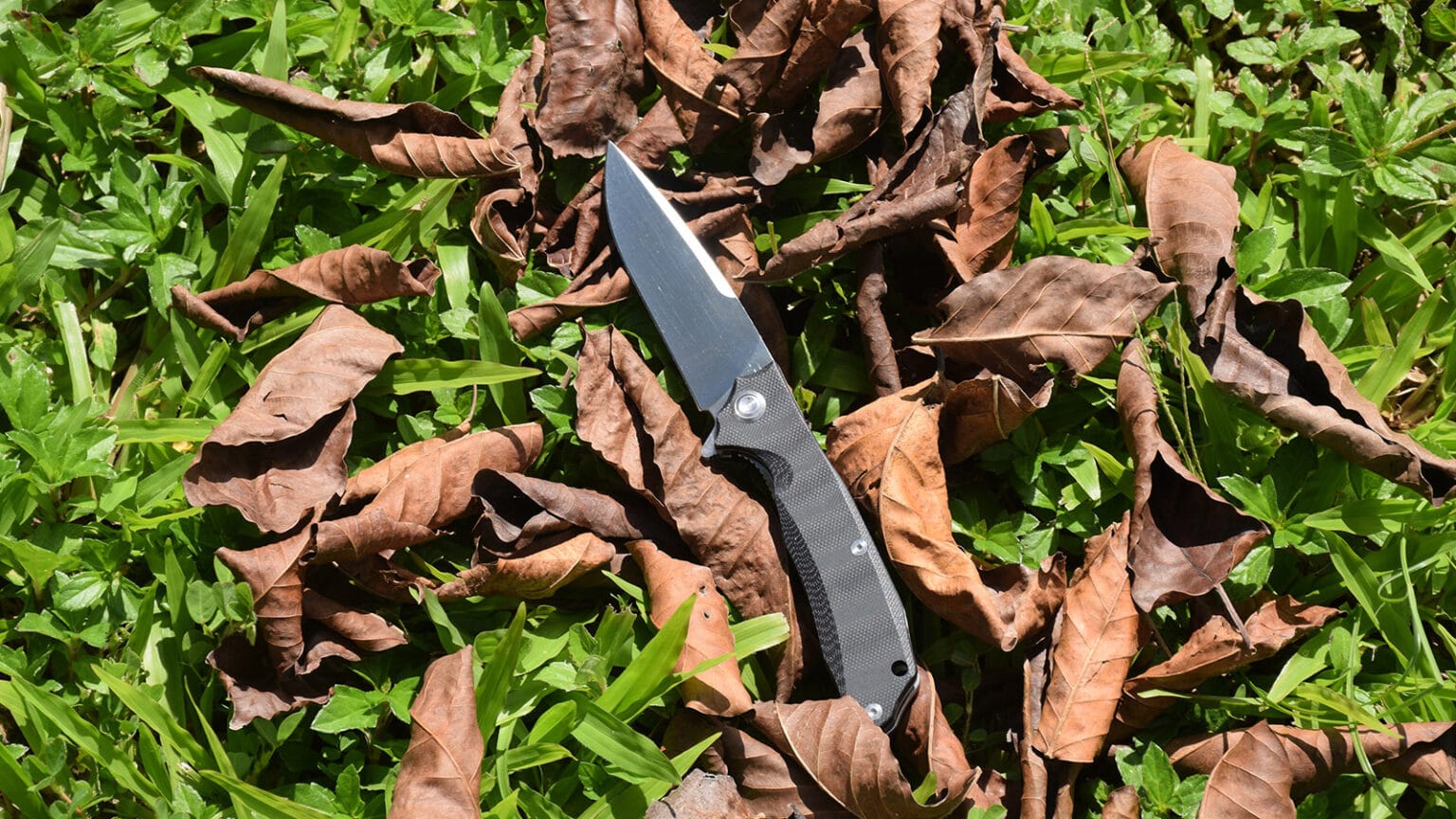 The Ultimate Guide To Finding The Best EDC Knife In 2024: A ...