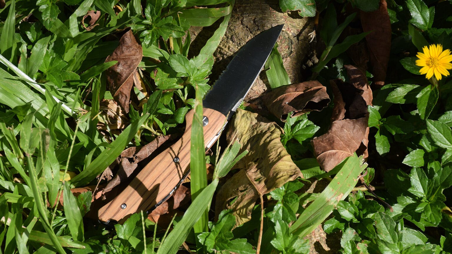 Everything You Need To Know About 3CR13 Stainless Steel Knife: A ...